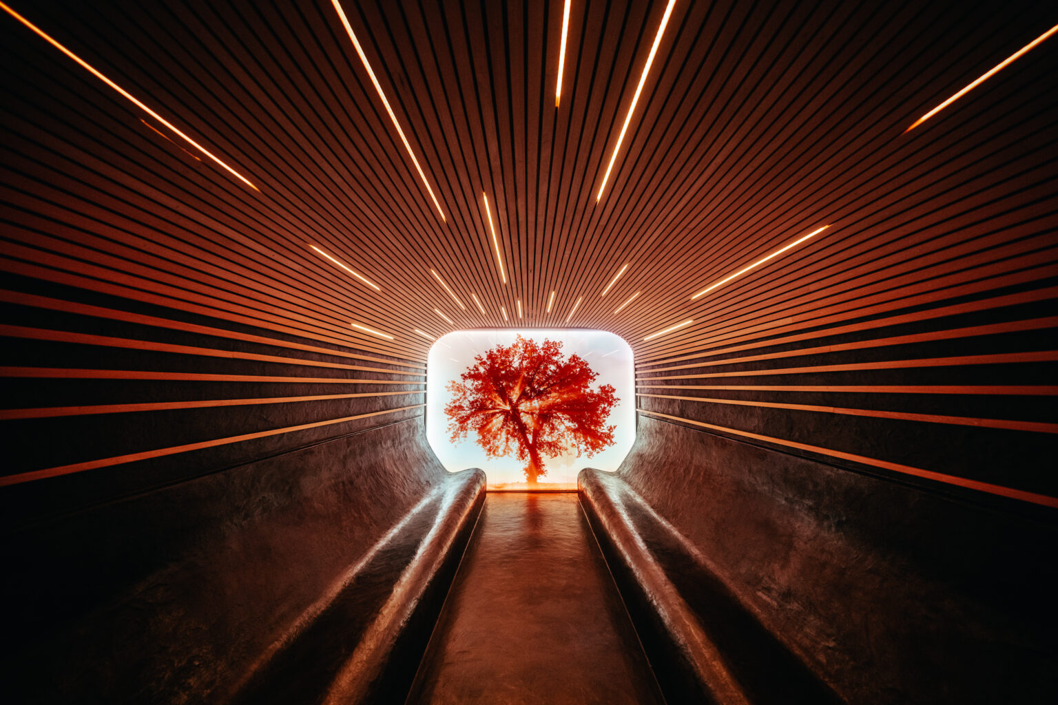 Infinit Sen – Hotel Sen Wellness Senohraby