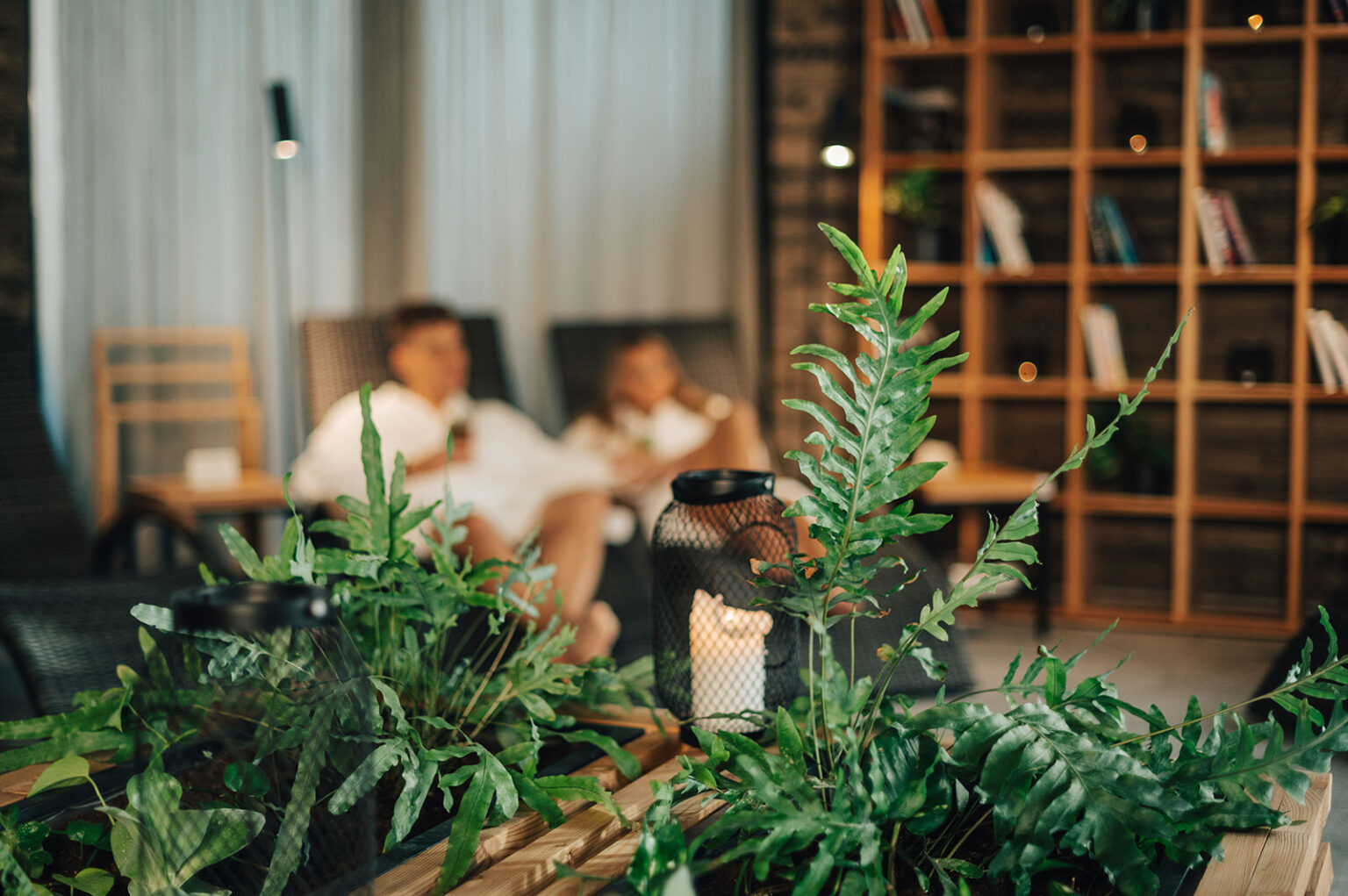 Infinit Sen – Hotel Sen Wellness Senohraby